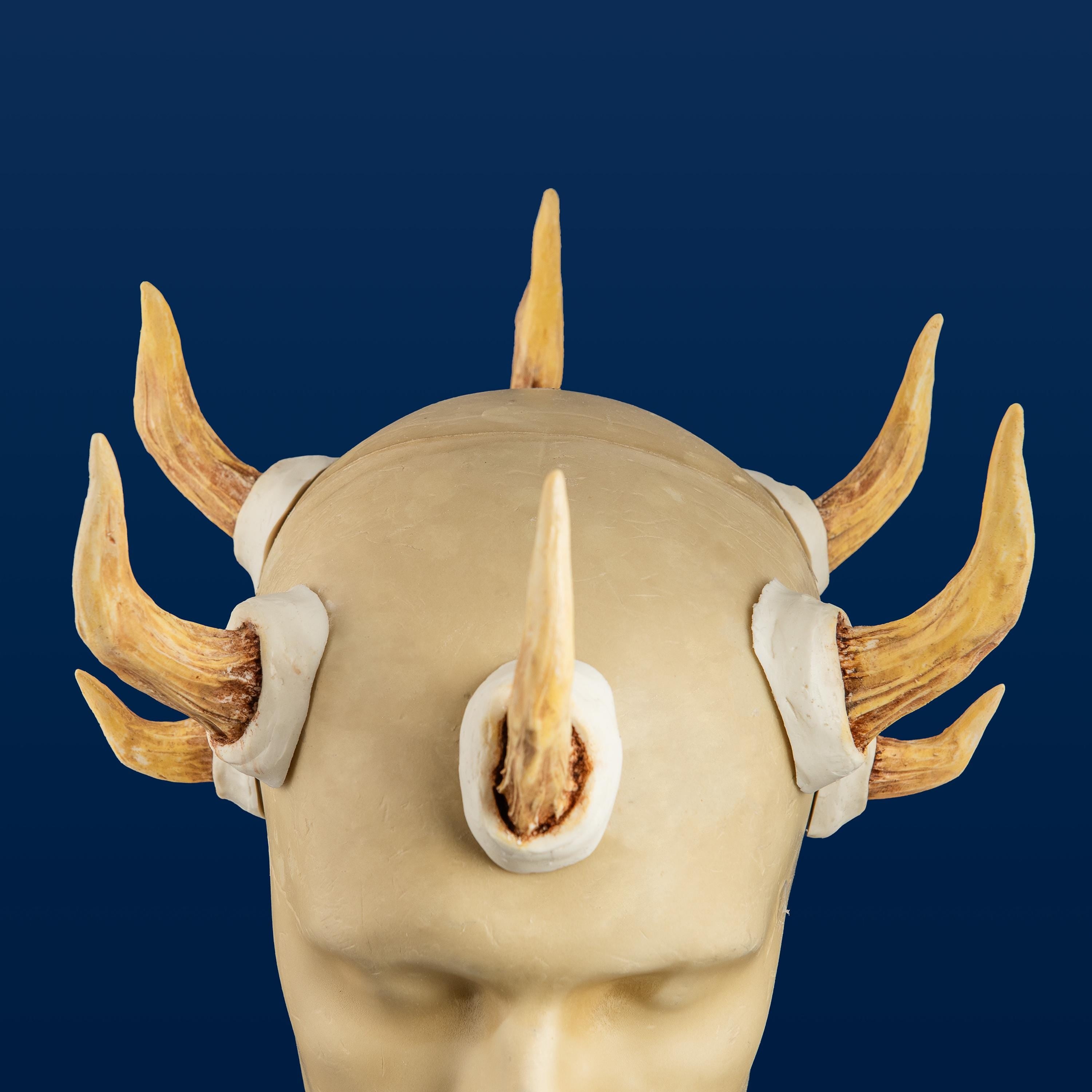 Savage Opress Zabrak Horn Set (9 Piece) - Amber Brite Props